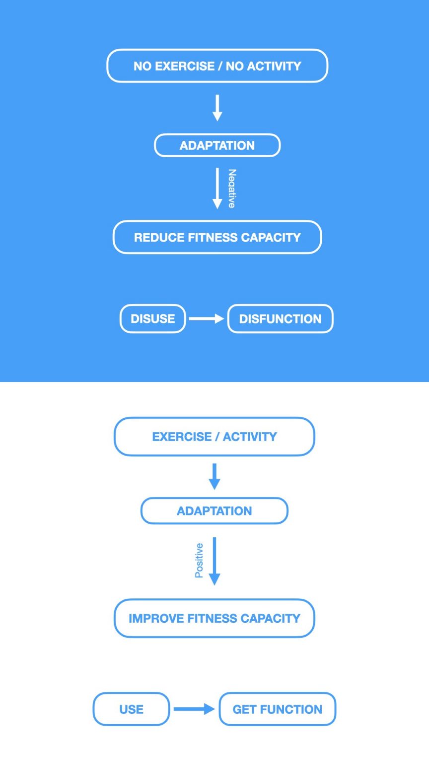 ไม่ได้ออกกำลังกาย ส่งผลอะไรกับร่างกายเราบ้าง