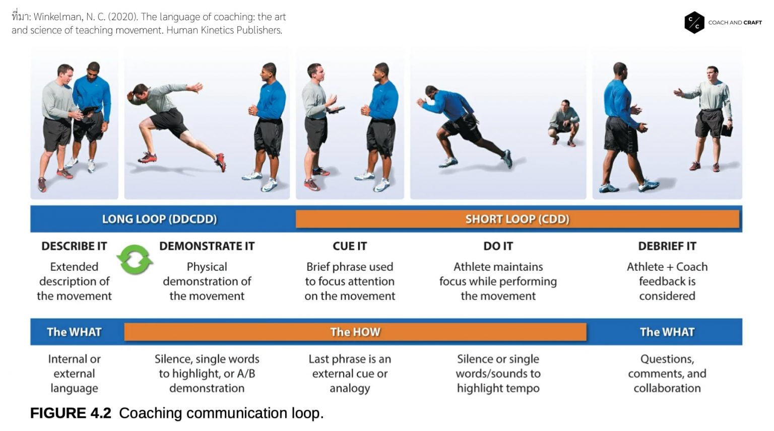 Coaching Loop: 5 เทคนิคช่วยอัพสกิลโค้ชและเทรนเนอร์