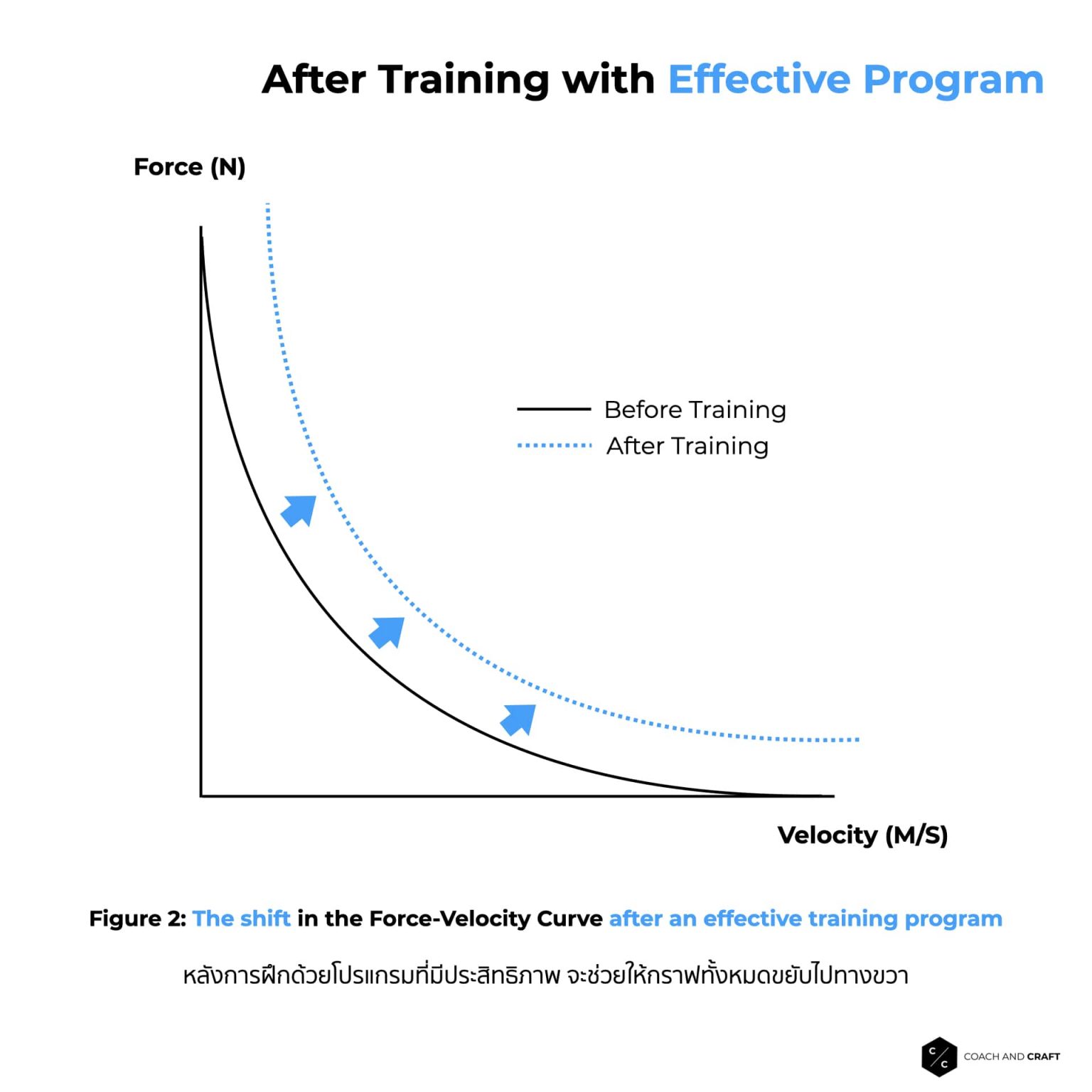 Force-Velocity Curve ฝึกนักกีฬาอย่างไรให้ได้ผลลัพธ์สูงสุด!